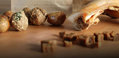 futalis® Individuelle Hundenahrung von Tierärzten entwickelt