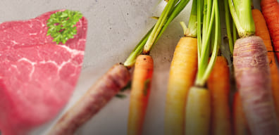 futalis® Individuelle Hundenahrung von Tierärzten entwickelt